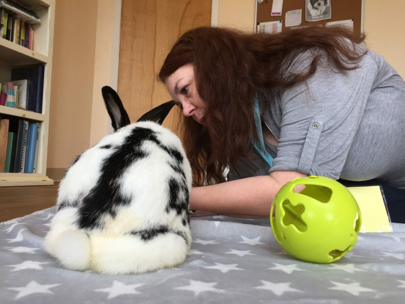 California Woman Spends Decades Helping to Save Thousands of Rabbits ...