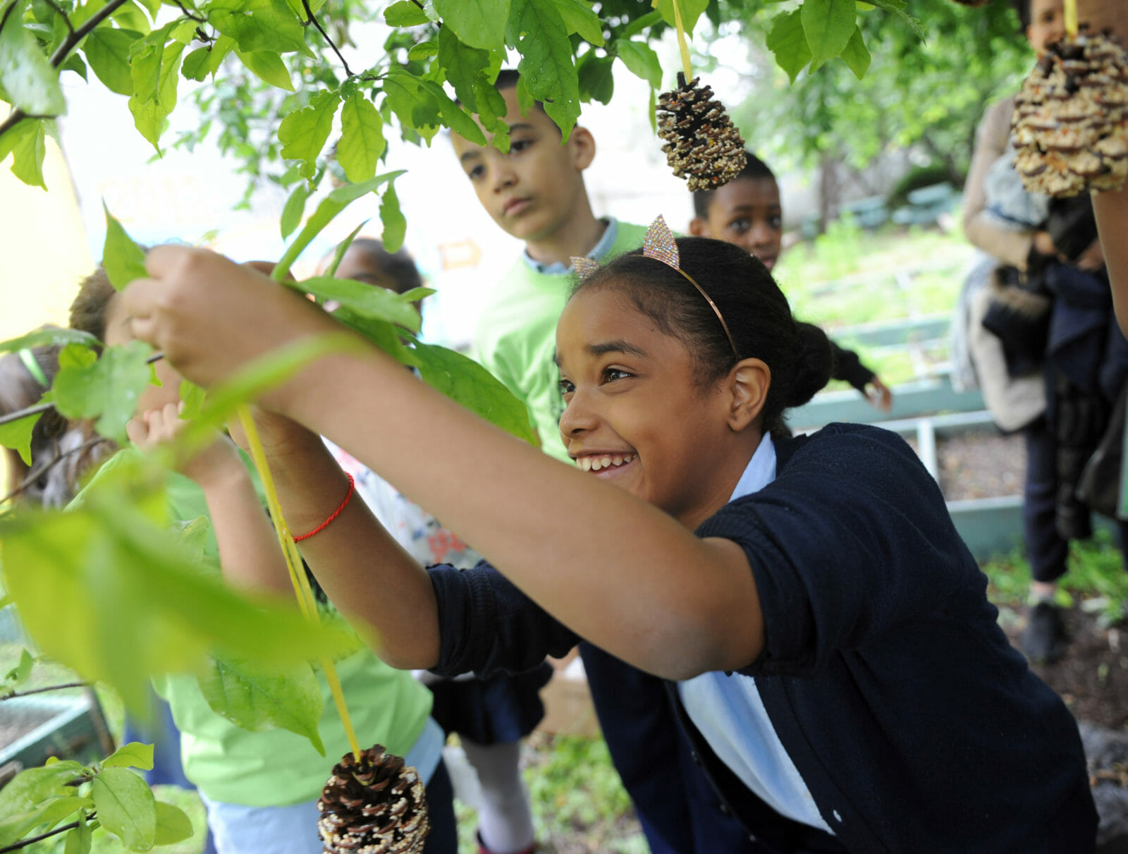 Plant a Peace Tree - Points of Light