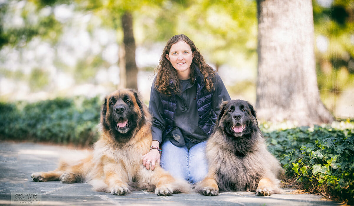 100-lb+ Dog Duo Deliver Big Comfort to Children and Adults in Need ...