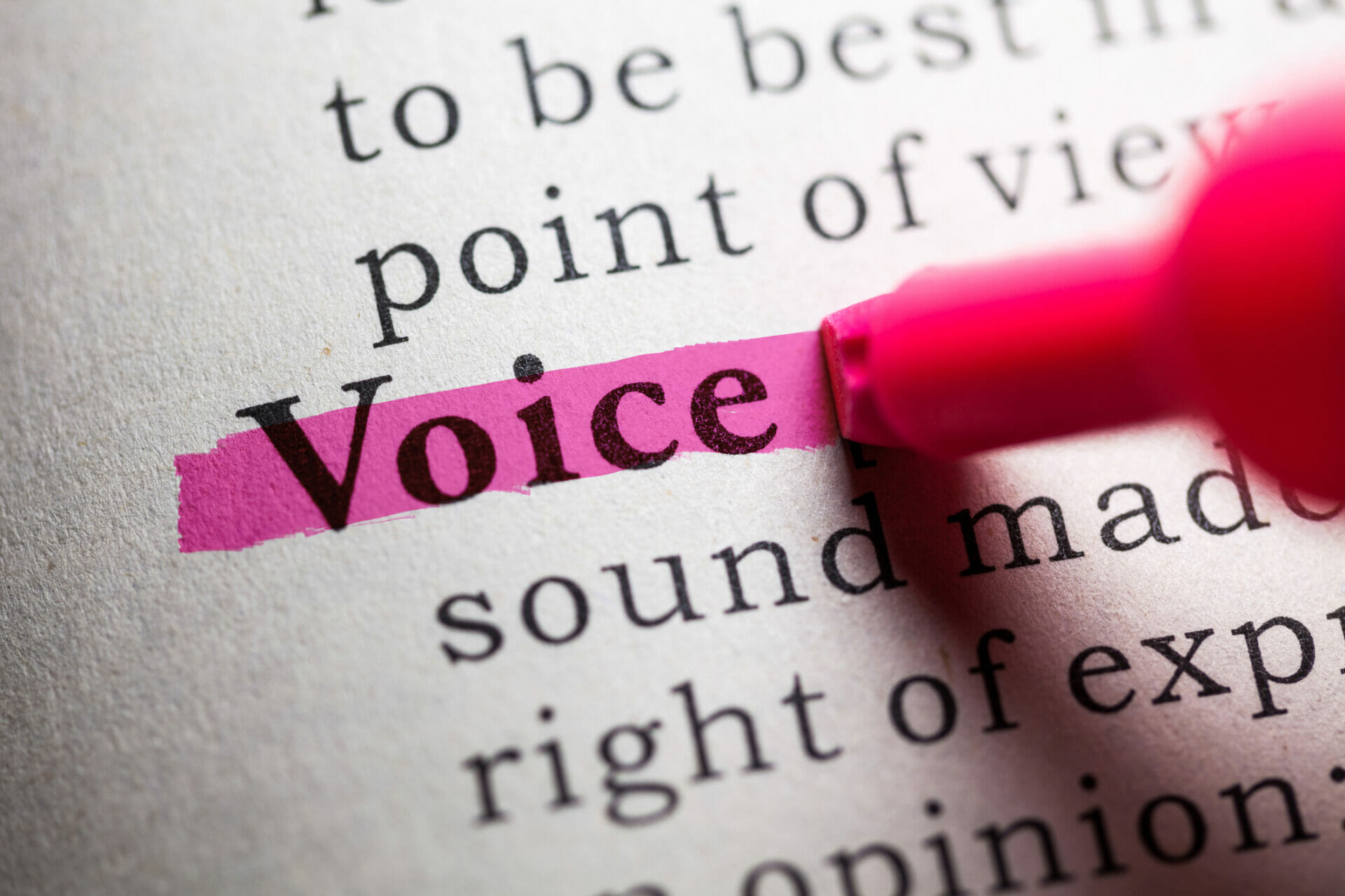 Use Your Voice During Elections: Employees and Organizations